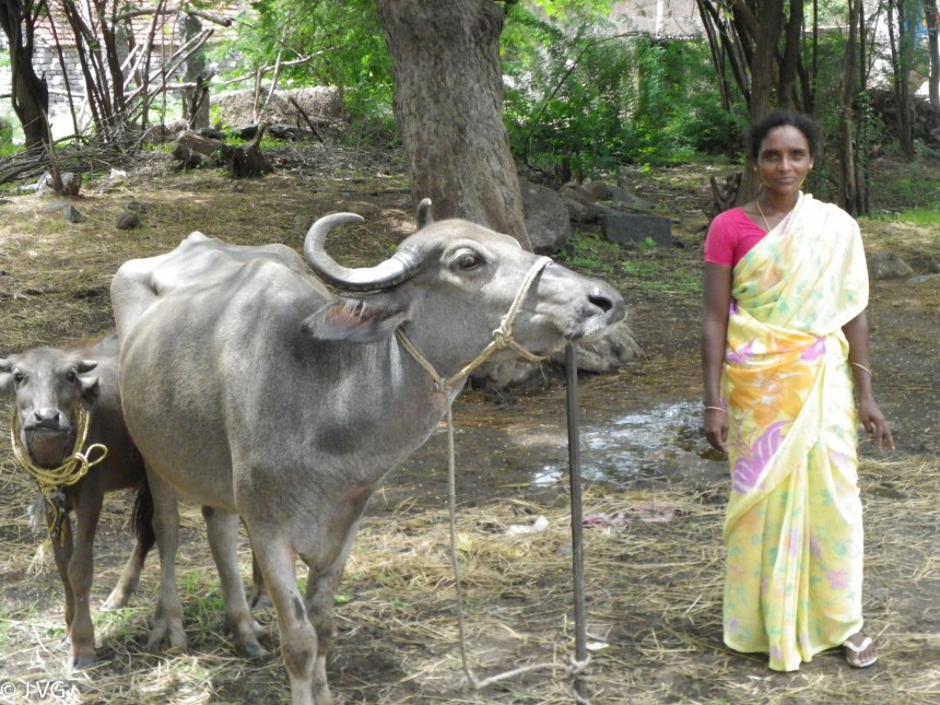 WANA-KADO | WANAKKAM vzw